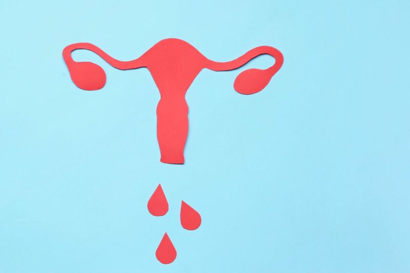 Let’s Talk About the Menstrual Disc Vs. Cup Debate - EnviroMom